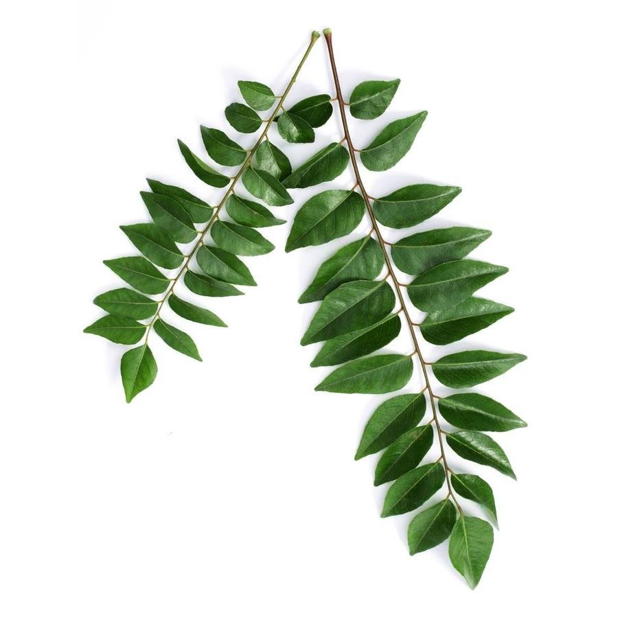 Curry Leaves (1 KG) - Buy Curry Leaves (1 KG) Online at Best Price in ...